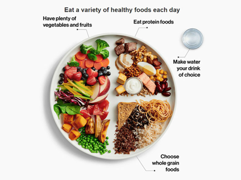 Canada’s Food Guide: How was it created? | Stories