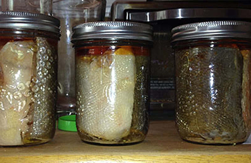 Foodie Friday: Salmon and a celebration of Indigenous heritage ...