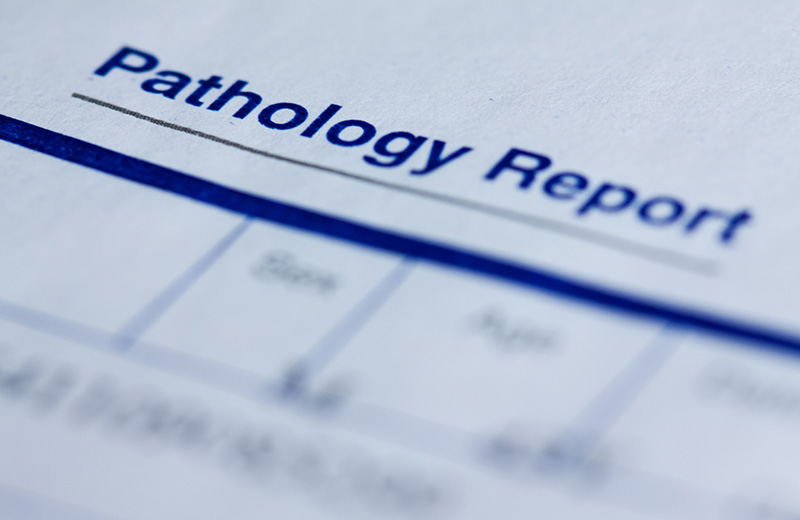 New HealthElife feature! Pathology reports now available in 3 days ...