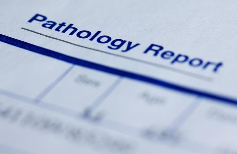 New HealthElife feature! Pathology reports now available in 3 days ...